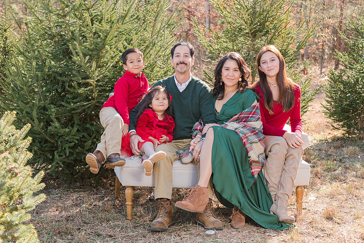 Tree Farm Mini Sessions | Silverbridge & Co.