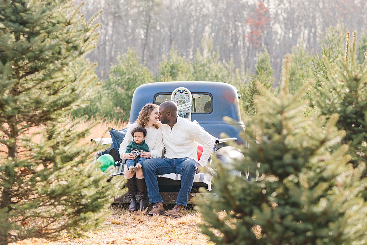 Tree Farm Photos | Silverbridge & Co.
