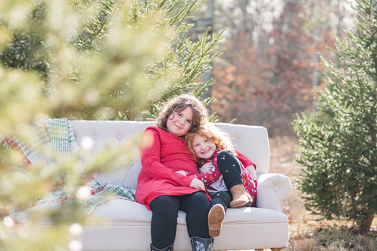 Tree Farm Mini Sessions | Silverbridge & Co.