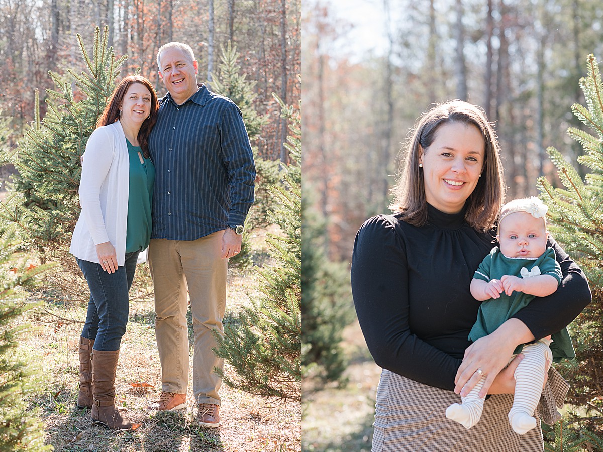 Tree Farm Mini Sessions | Silverbridge & Co.